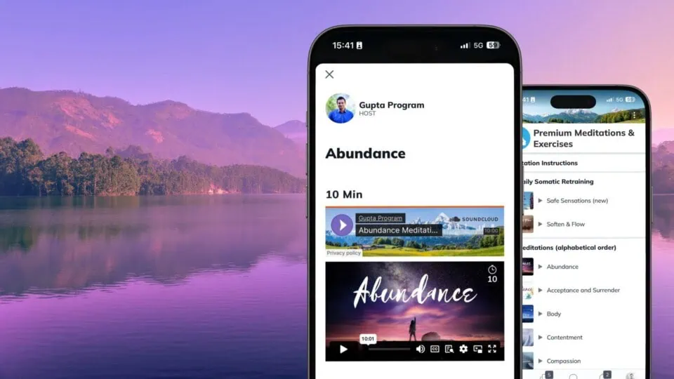 How the Gupta Program Works – Your Healing Path